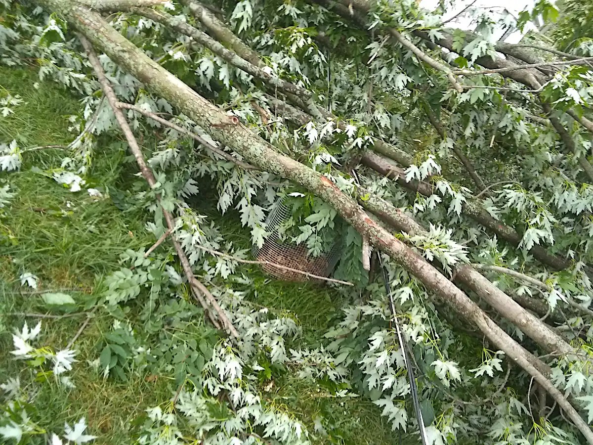 A Date With a Chainsaw – Studio Time